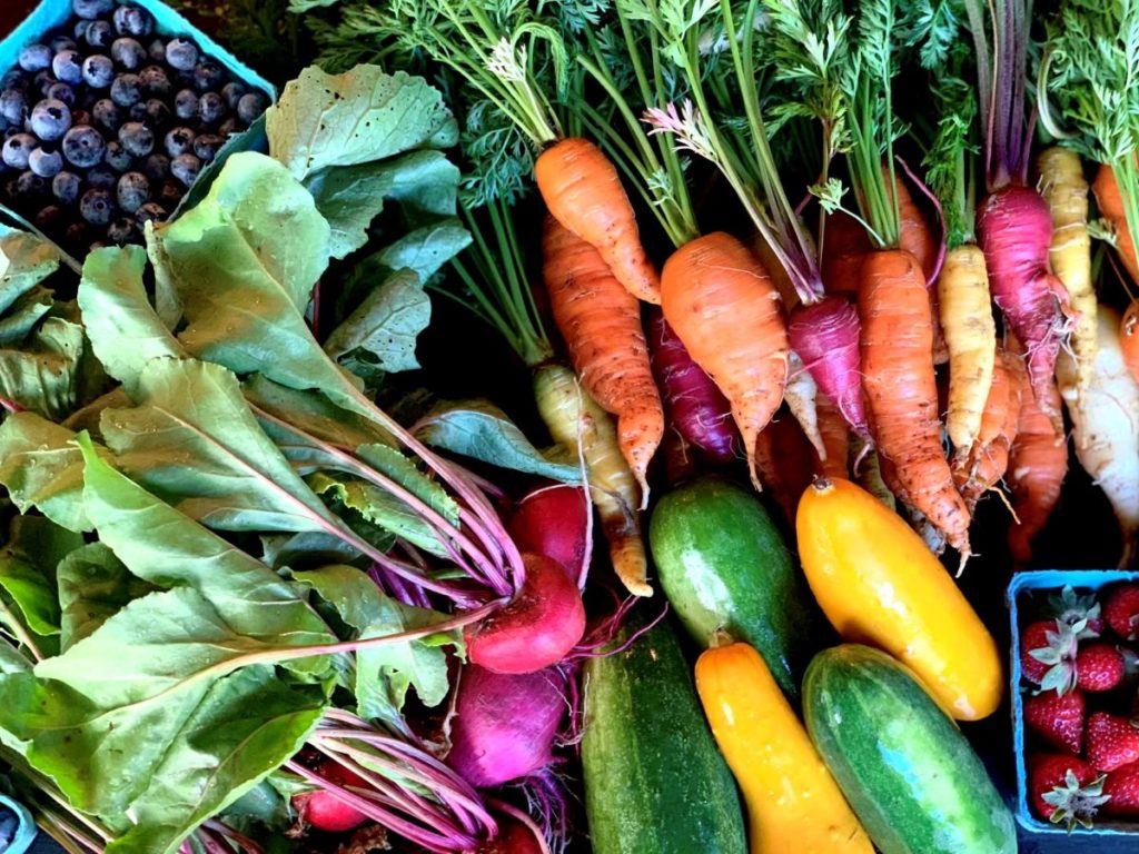 The Farm - The Farm at Wolf Pine Hollow